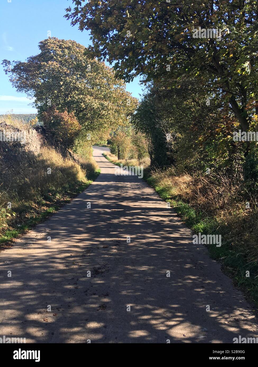 September leaves hi-res stock photography and images - Alamy