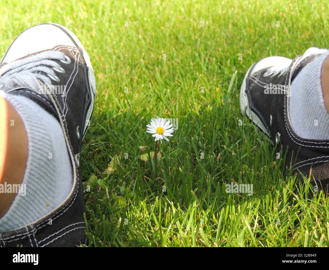 Flower alone hi-res stock photography and images - Alamy