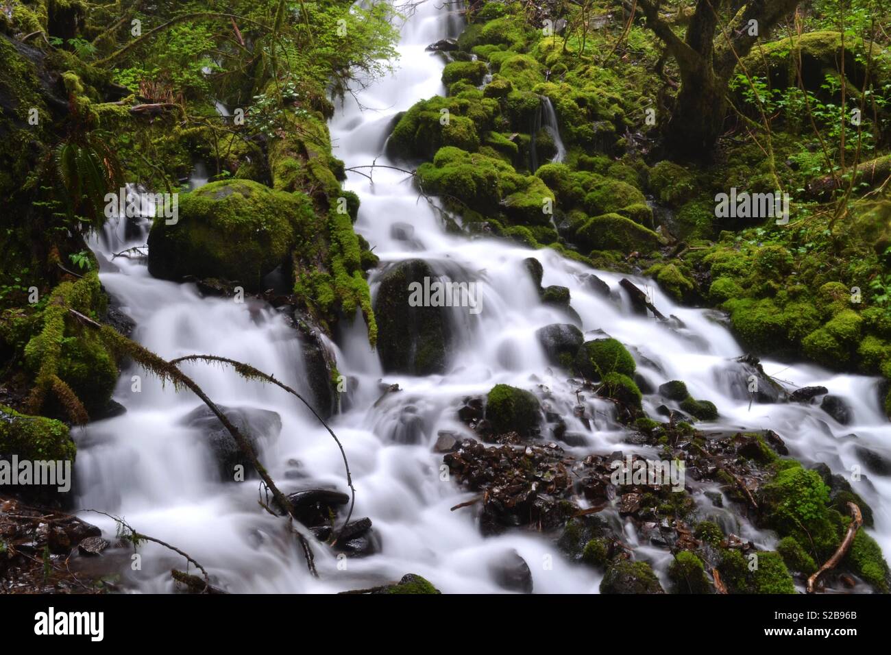 Pacific northwest waterfalls hi-res stock photography and images - Alamy
