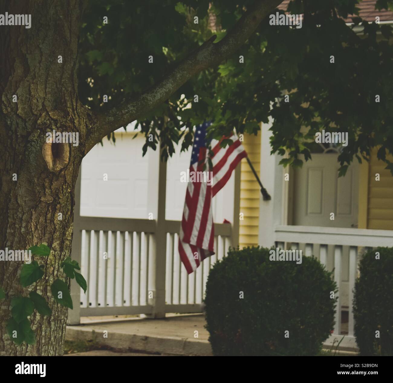 American flag tree hi-res stock photography and images - Alamy