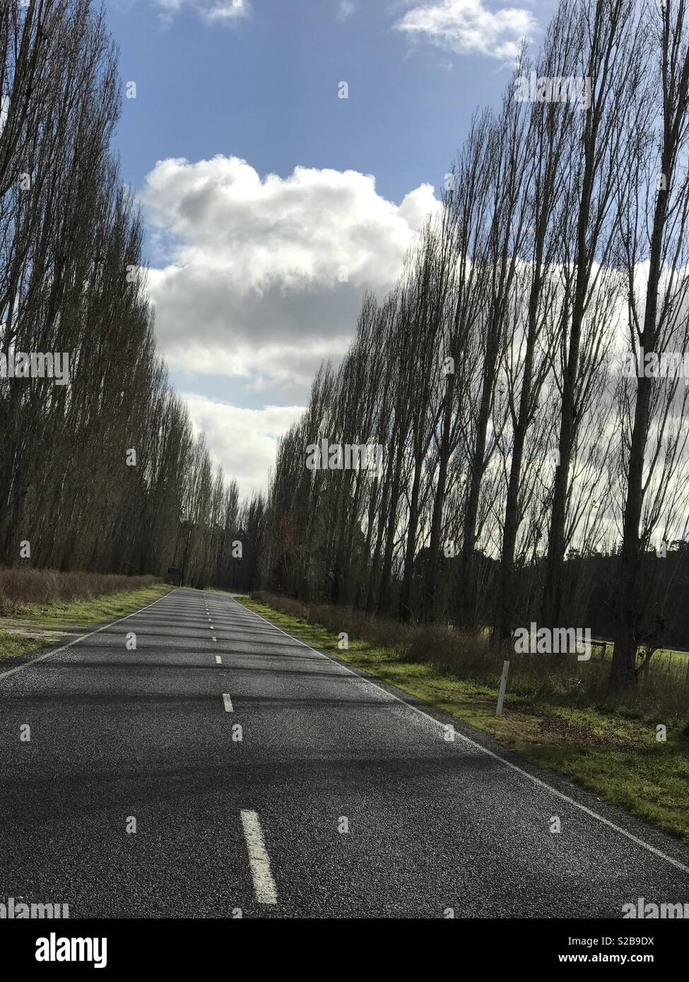 The long road ahead Stock Photo - Alamy