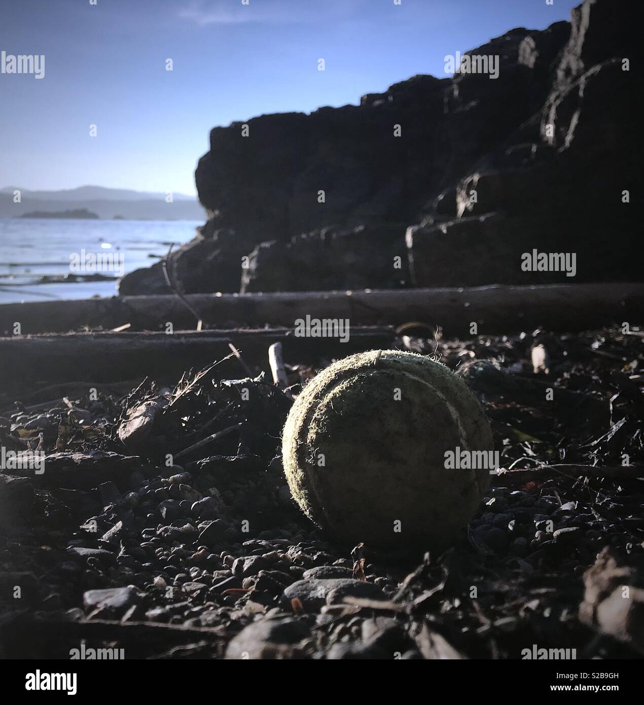 Lost fetch ball hi-res stock photography and images - Alamy