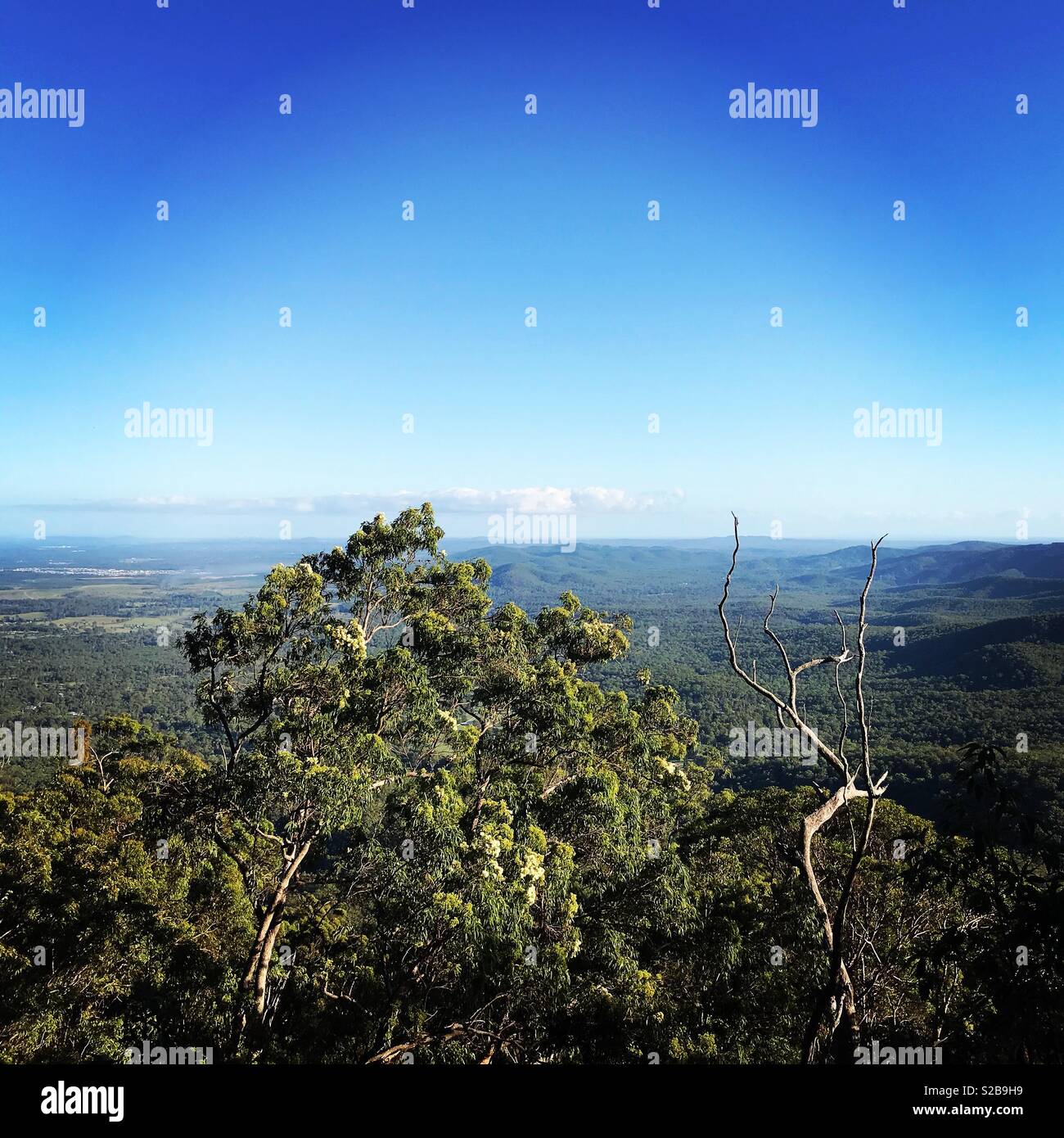 Vast greenery hi-res stock photography and images - Alamy