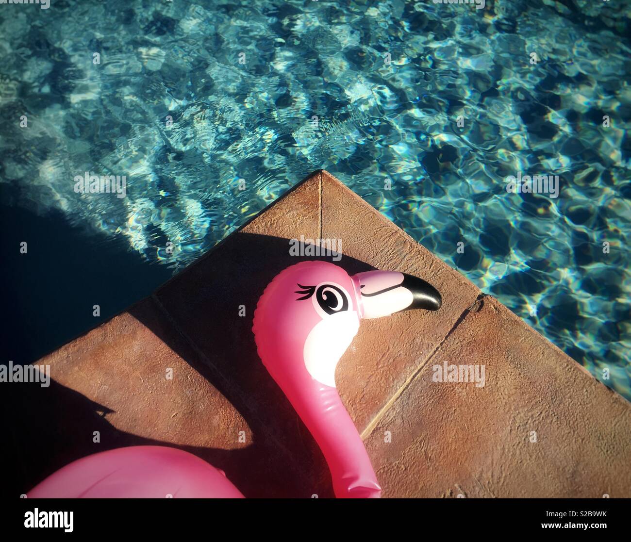 Inflatable pink flamingo sunbathing at side of the pool Stock Photo - Alamy