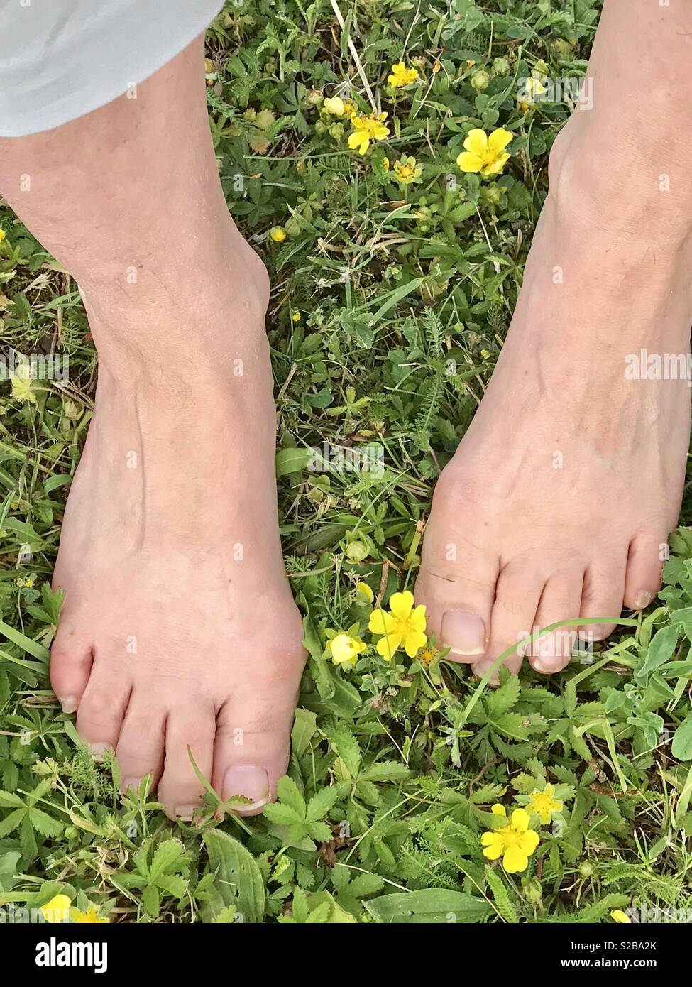 Women’s barefoot feet on the grass Stock Photo - Alamy
