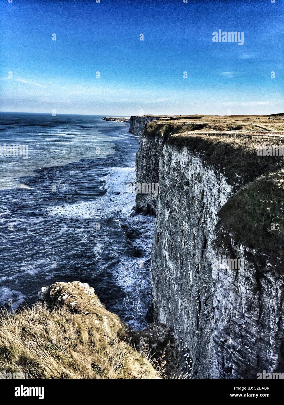 Rspb nature reserve yorkshire hi-res stock photography and images - Alamy