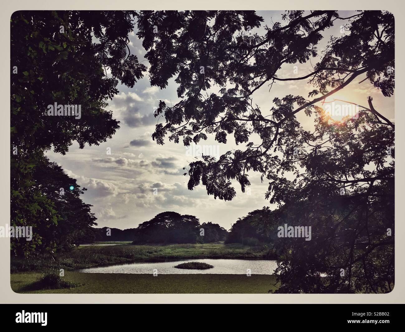 Evening at lakeside Stock Photo - Alamy