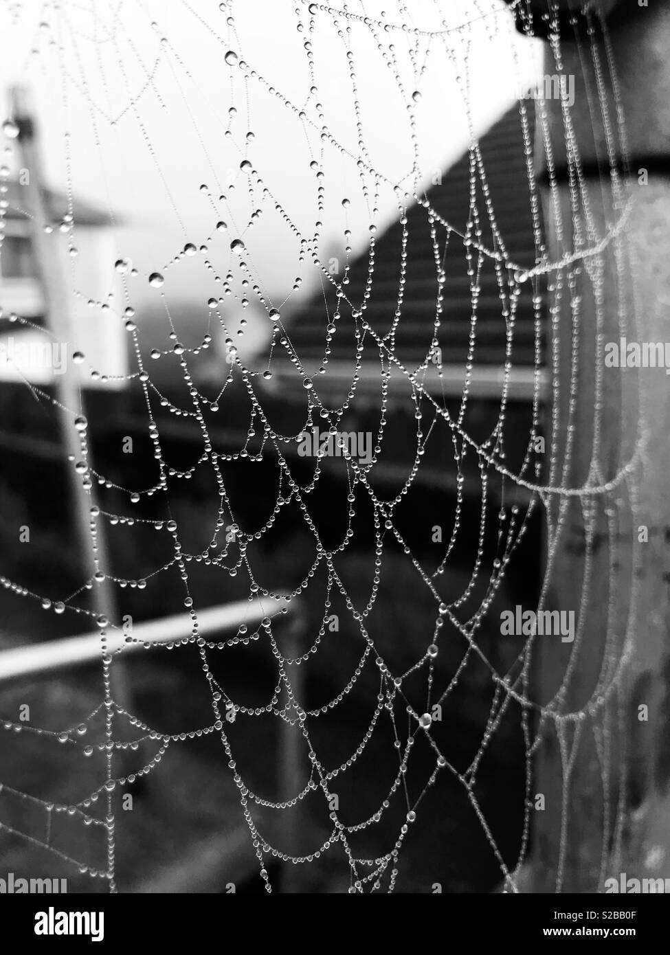 Mornings with nature hi-res stock photography and images - Alamy