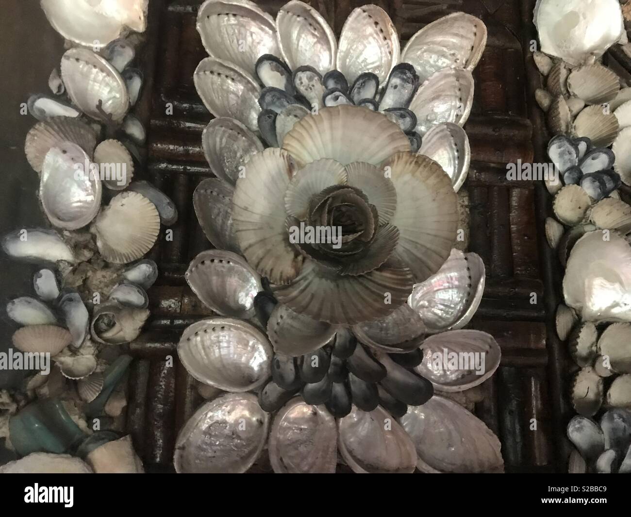 Arrangement of shells hi-res stock photography and images - Alamy