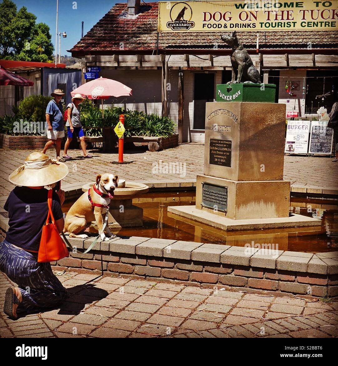 Dog on the Tucker Box & tourist Stock Photo - Alamy