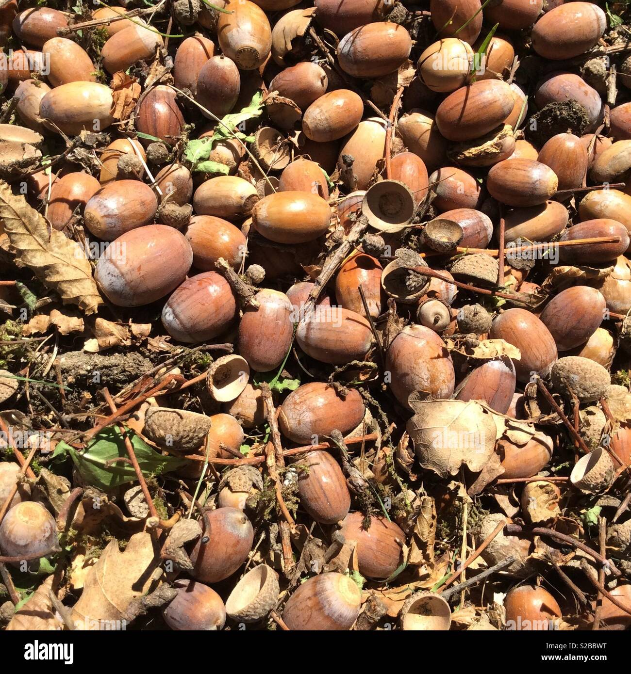 Ground textures hi-res stock photography and images - Alamy