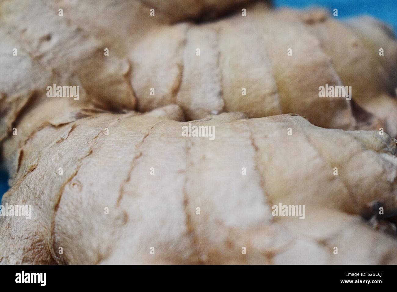 Ginger Closeup 3 Stock Photo - Alamy