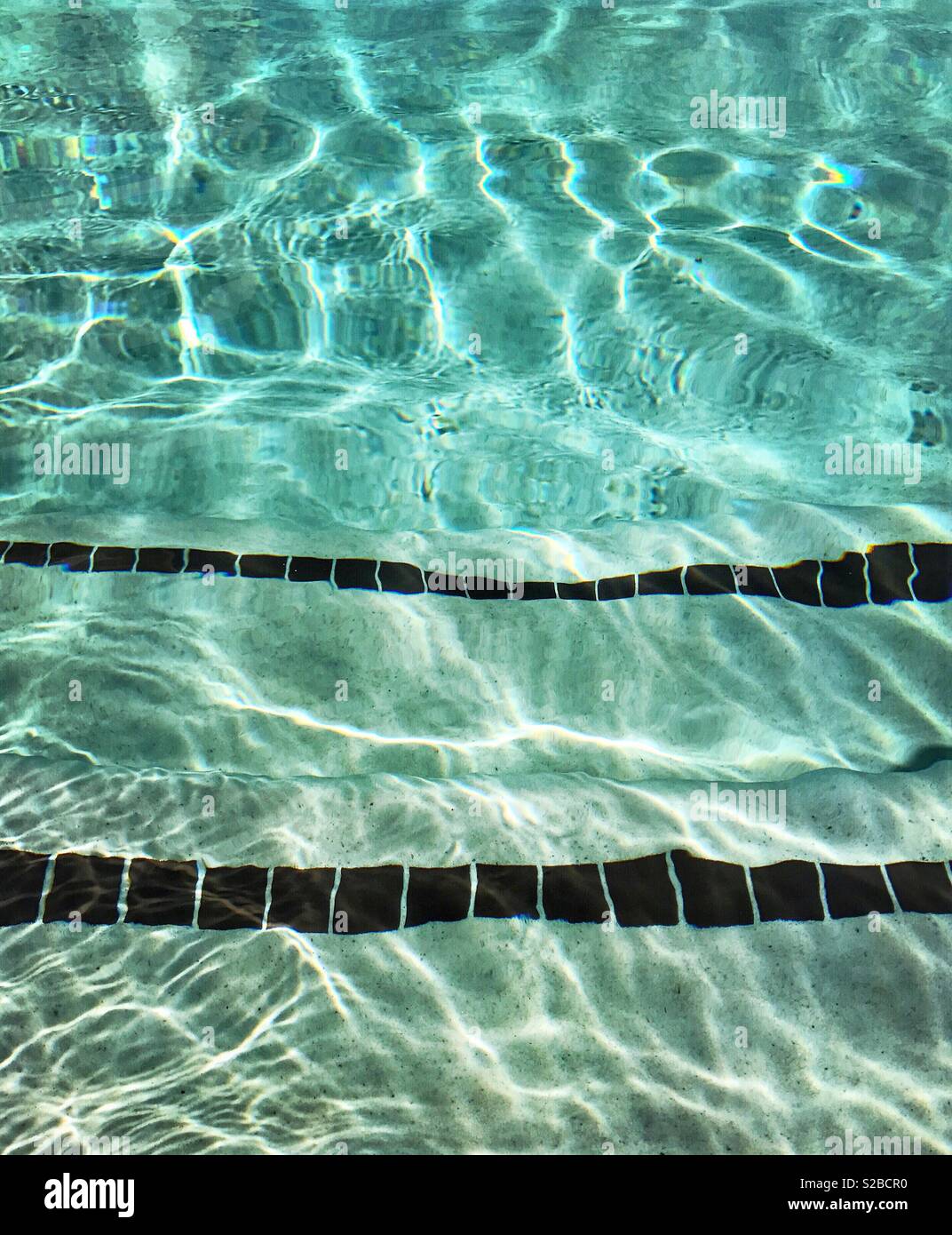 Patterns of light made by rippling water across surface of swimming ...