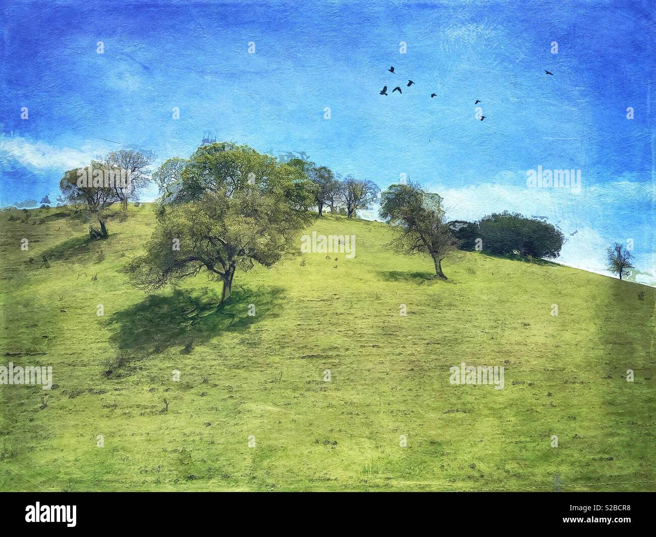 Impressionistic treatment of spring hillside covered in green in ...