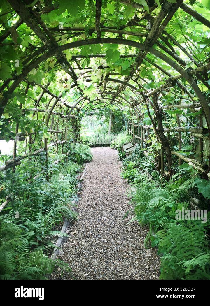 Light at the end of the green tunnel Stock Photo - Alamy