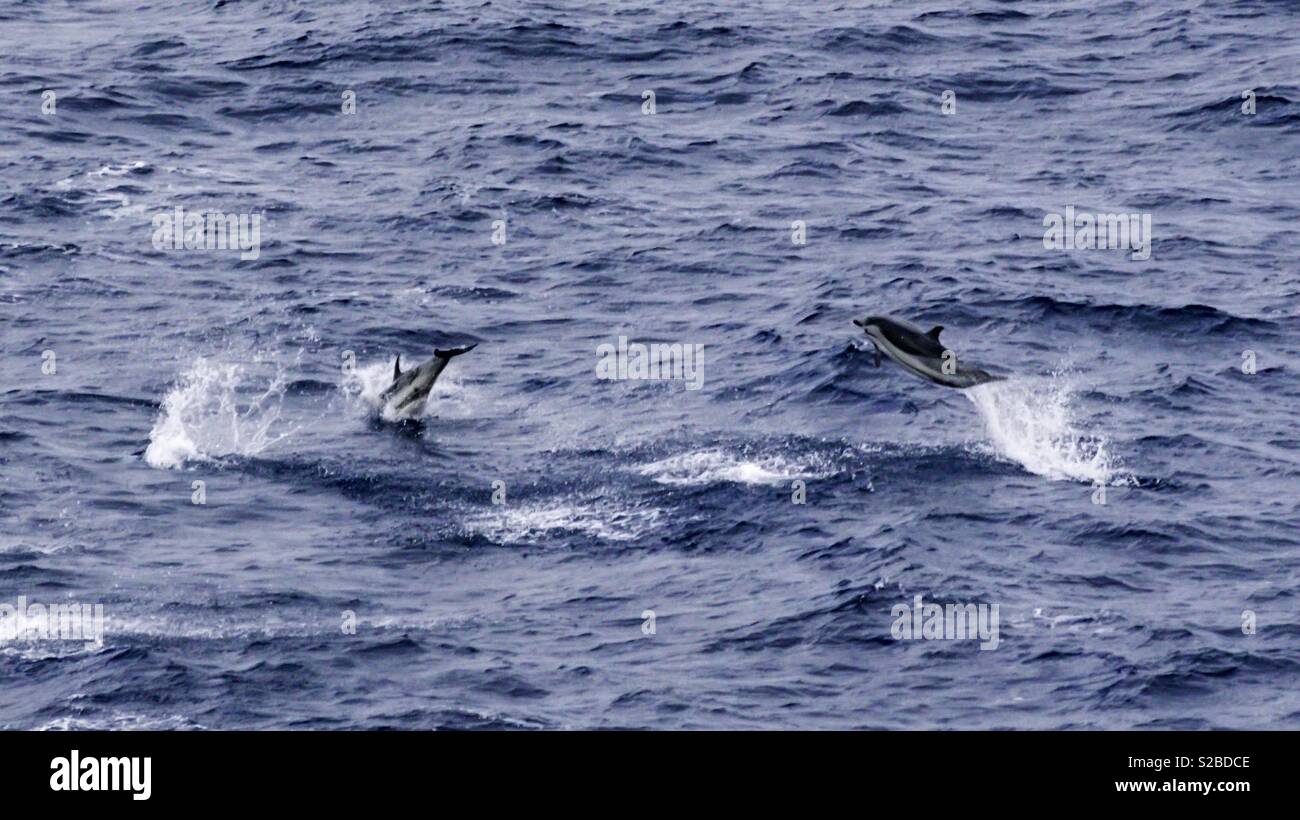 North pacific ocean hi-res stock photography and images - Alamy