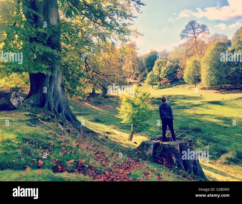 Window of the soul Stock Photo - Alamy