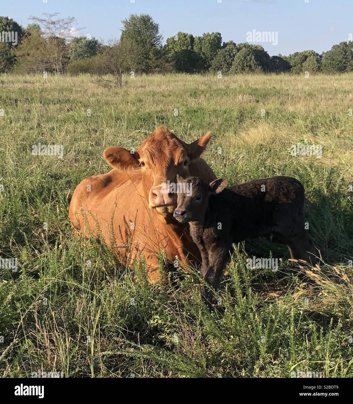 Momma hi-res stock photography and images - Alamy