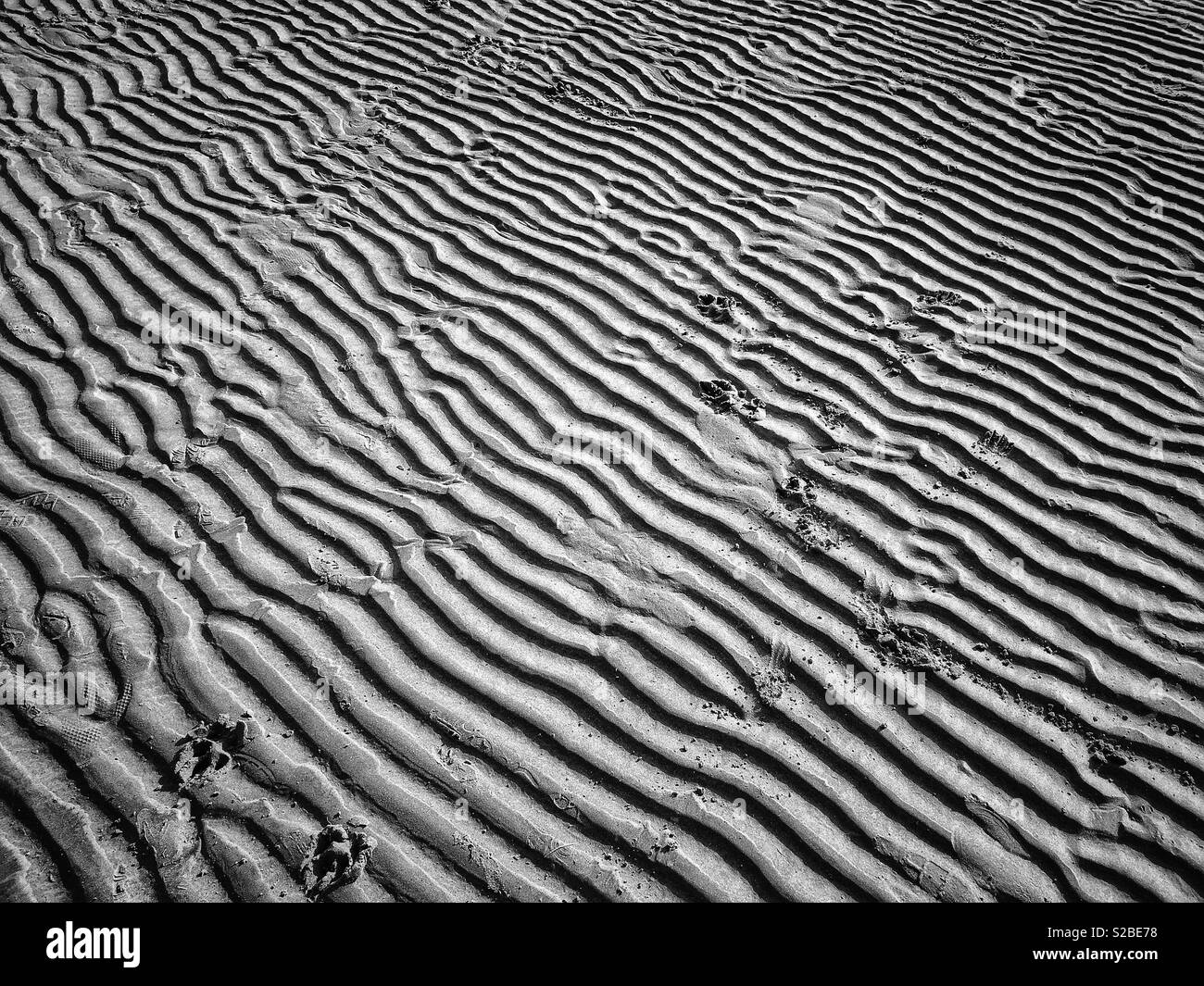 Sandy beach footprints in Black and White Stock Photos & Images - Alamy