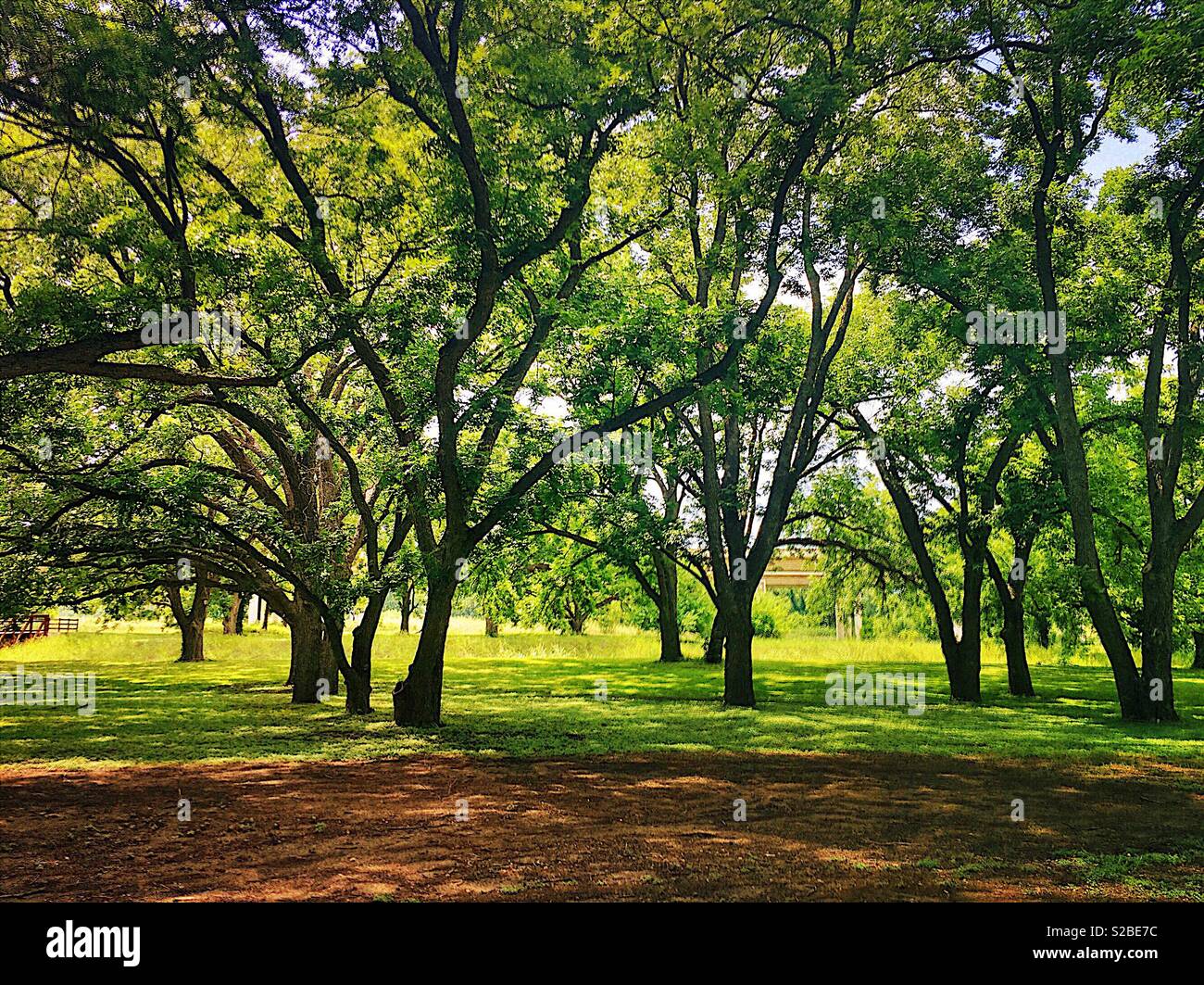 Austin texas path park hi-res stock photography and images - Alamy