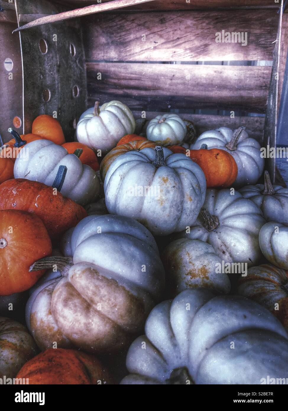 Colorful, fall pumpkins spilling out of a crate 3 Stock Photo - Alamy