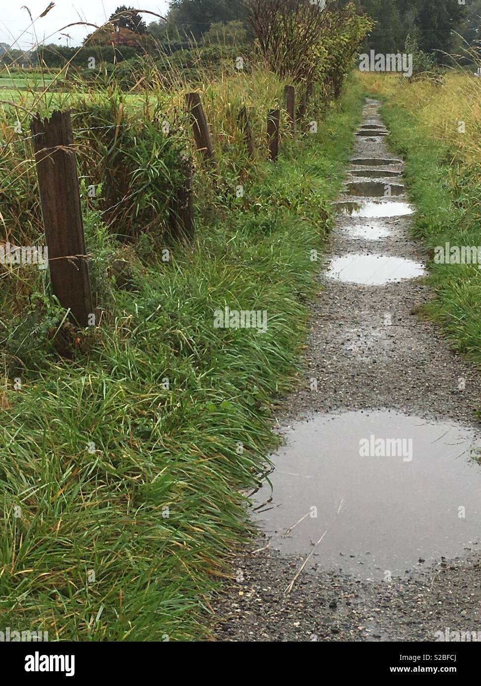 Rain puddles hi-res stock photography and images - Alamy