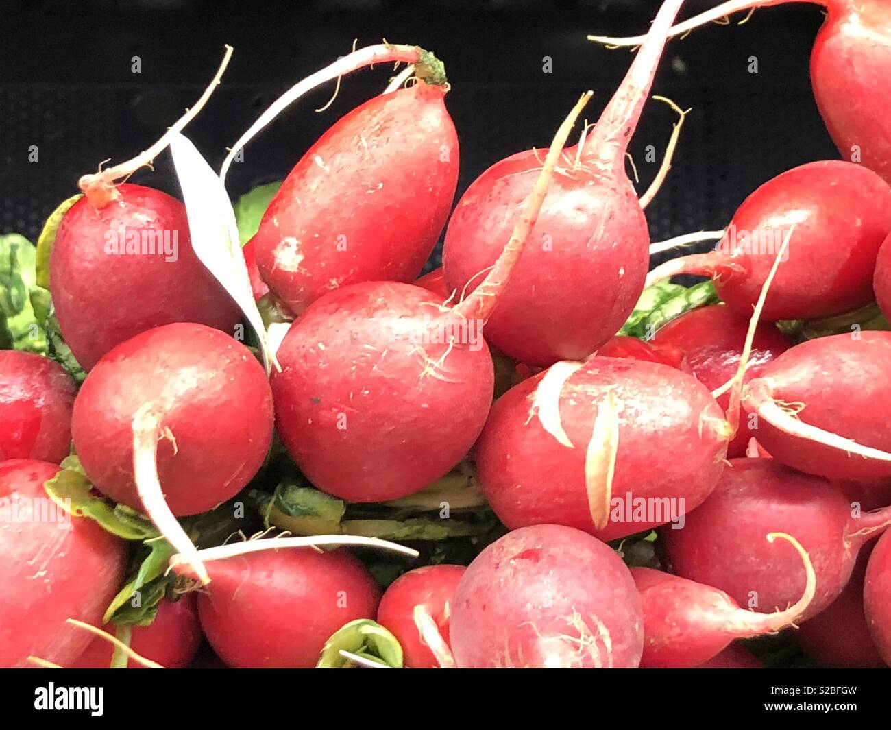 Red radishes at grocery store Stock Photo - Alamy