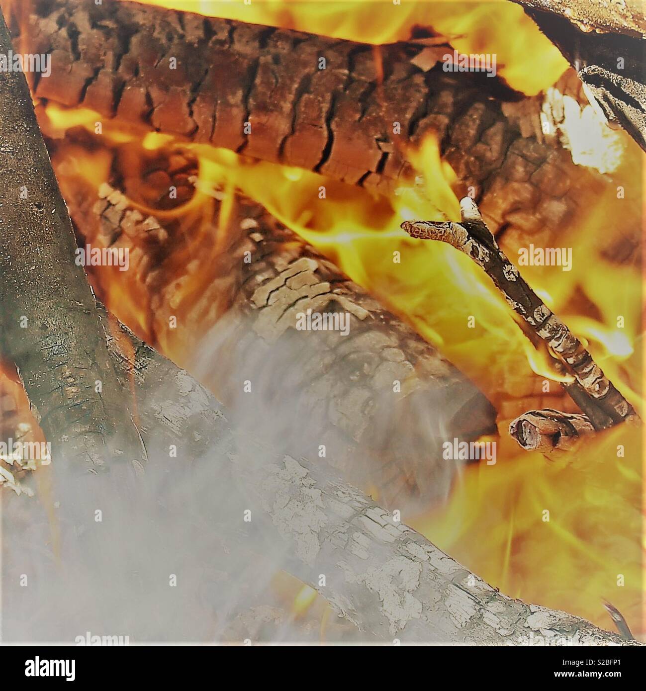 Glowing embers of a bonfire Stock Photo - Alamy
