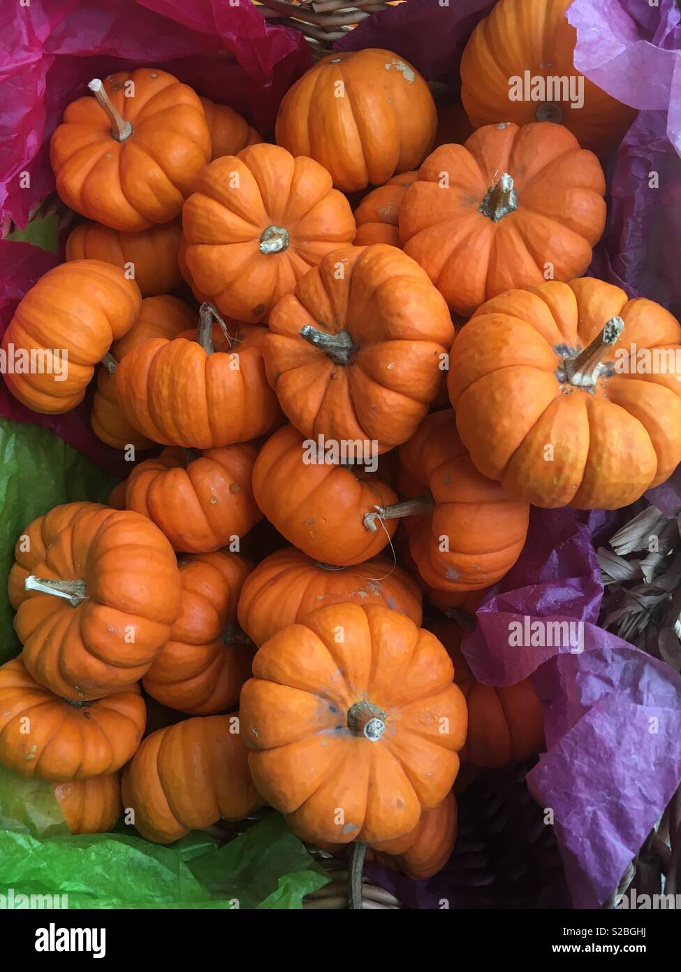 Mini orange hi-res stock photography and images - Alamy