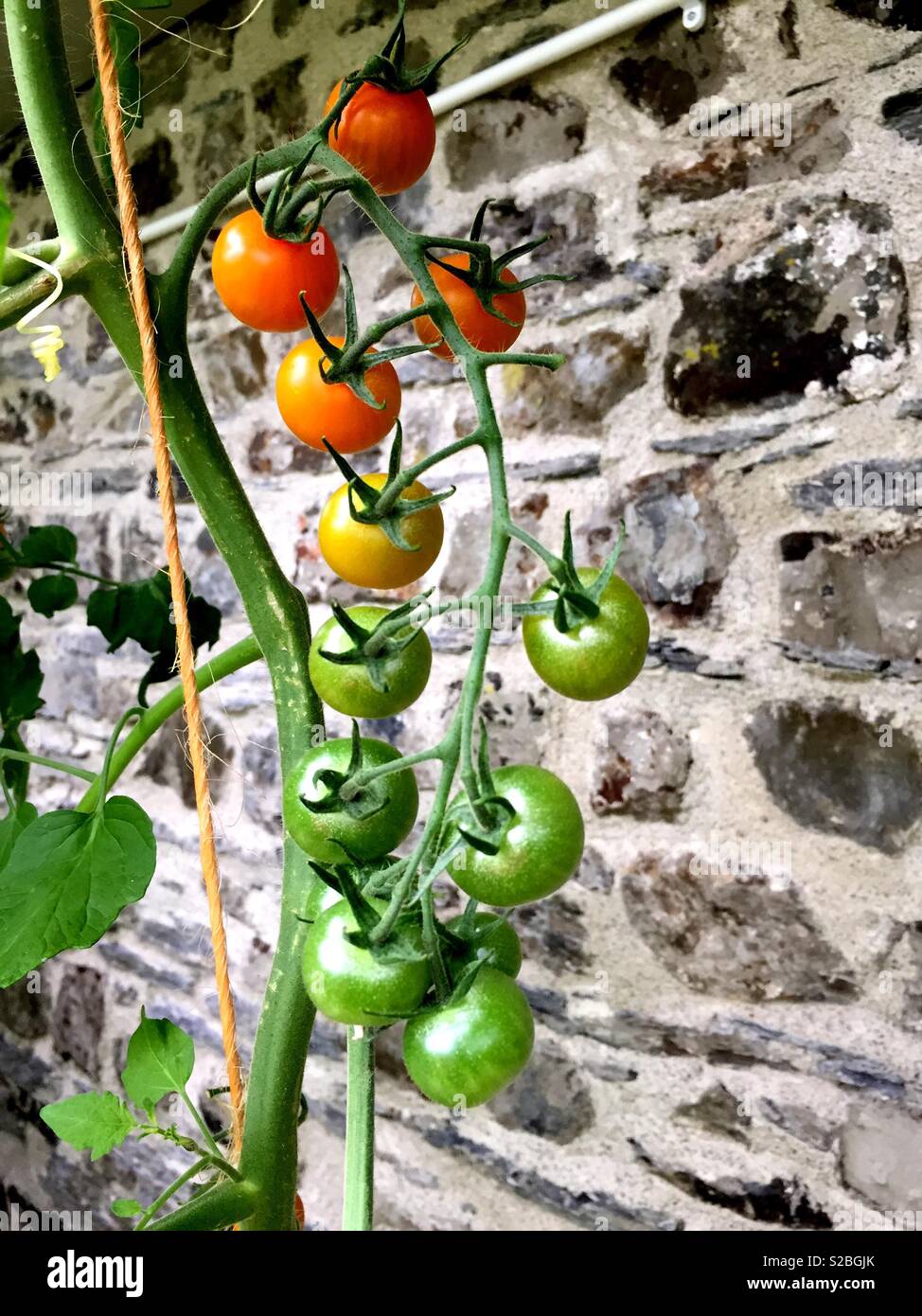 Multicolour nature hi-res stock photography and images - Alamy