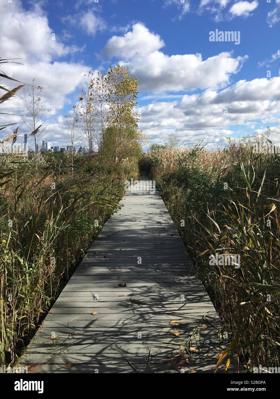 Fall Nature Walk Stock Photo - Alamy