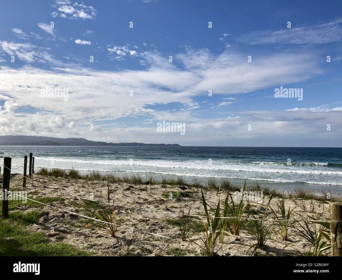 Tawharanui new zealand hi-res stock photography and images - Alamy