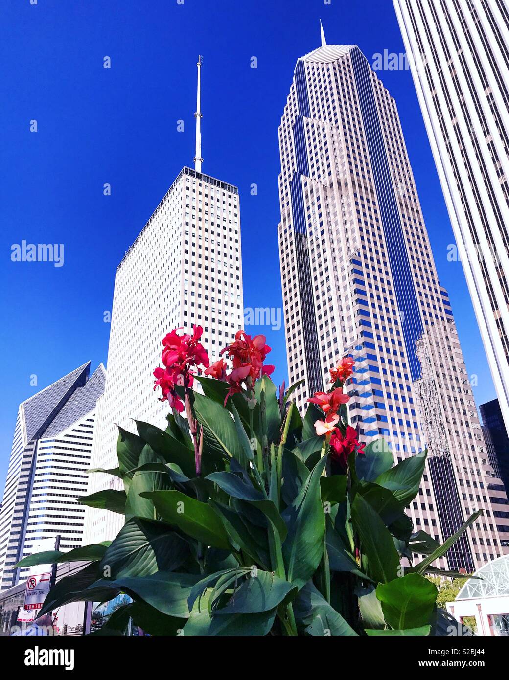 Beautiful chicago architecture hi-res stock photography and images - Alamy