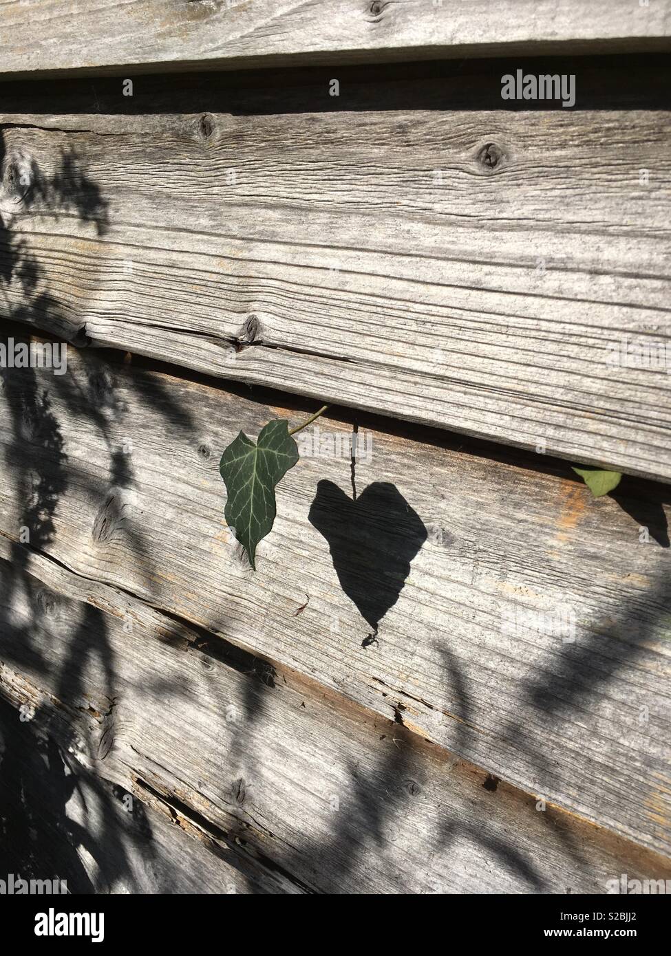 Heart shaped shadow Stock Photo - Alamy