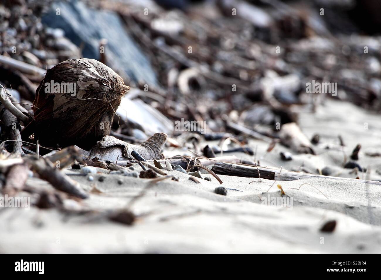 Mess in nature hi-res stock photography and images - Alamy