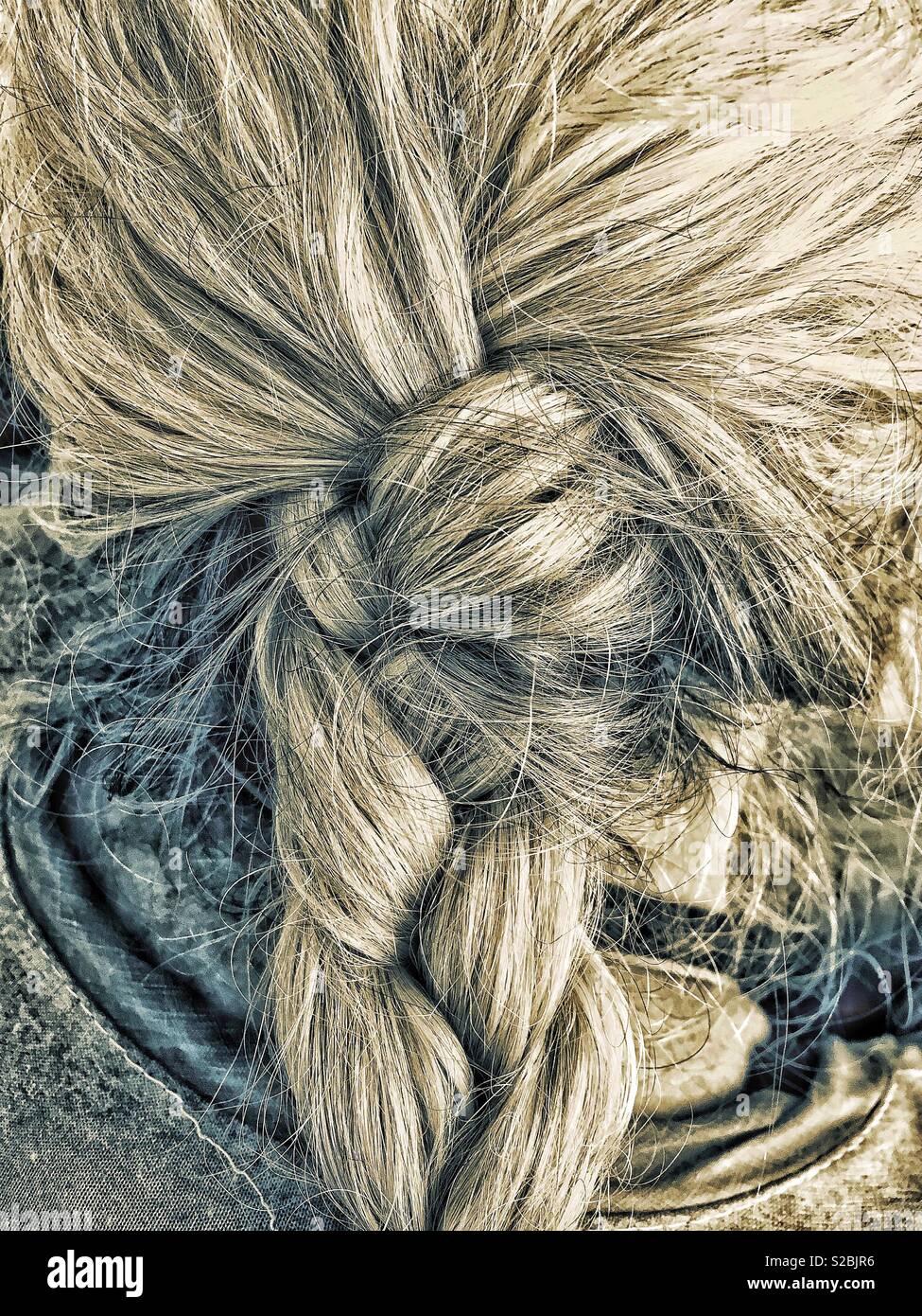 Pony tail hi-res stock photography and images - Alamy