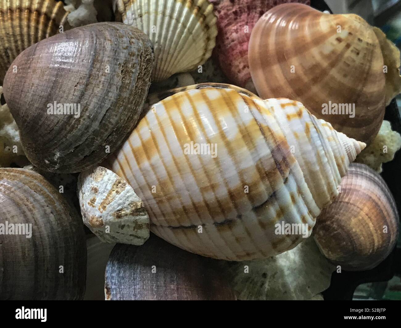 Shapes and colors hi-res stock photography and images - Alamy