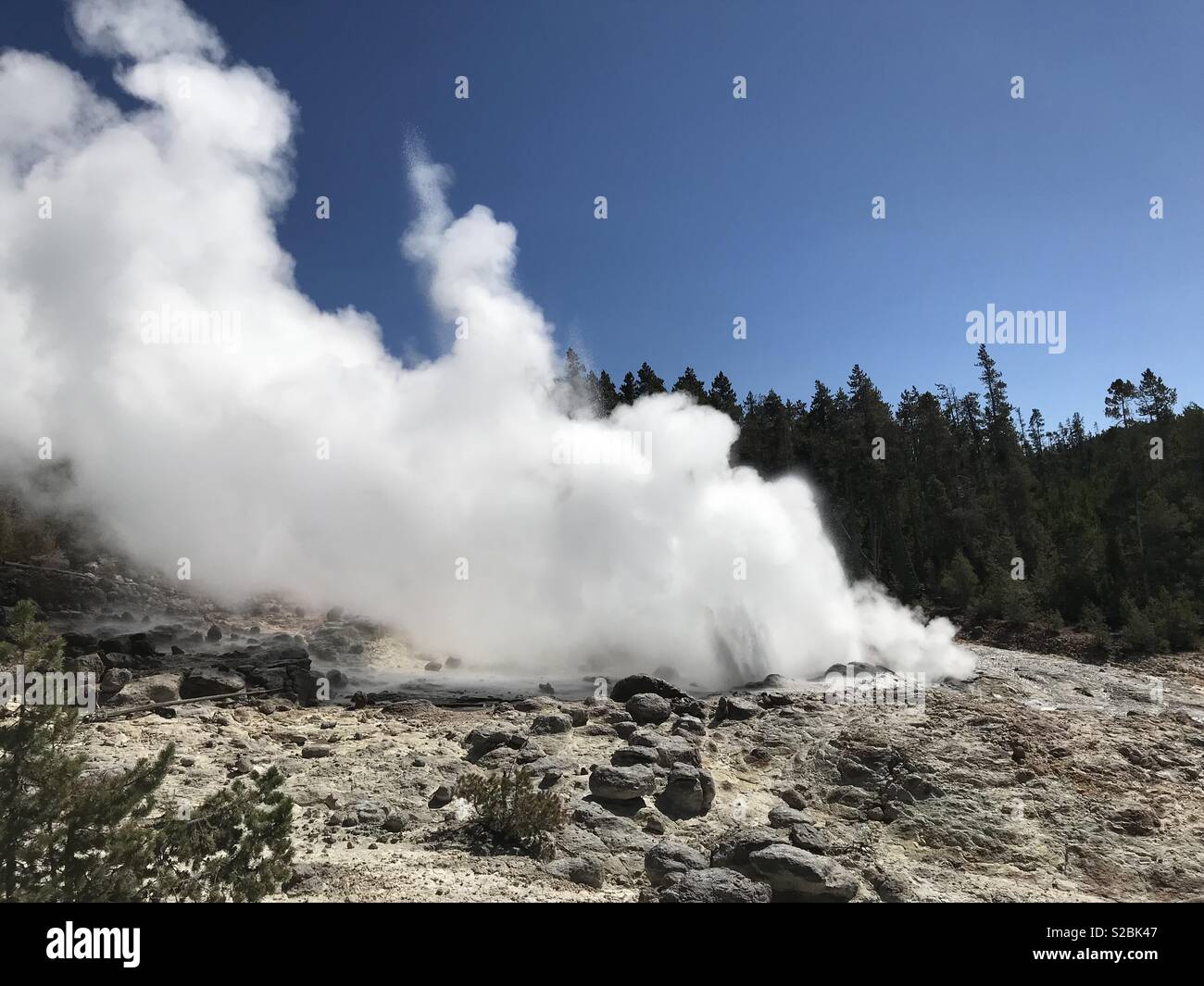 Geyser yellowstone hi-res stock photography and images - Alamy