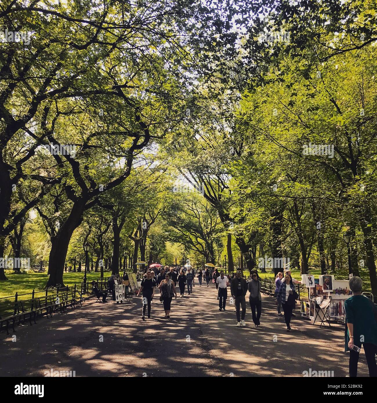 Central Park walking through the trees Stock Photo - Alamy