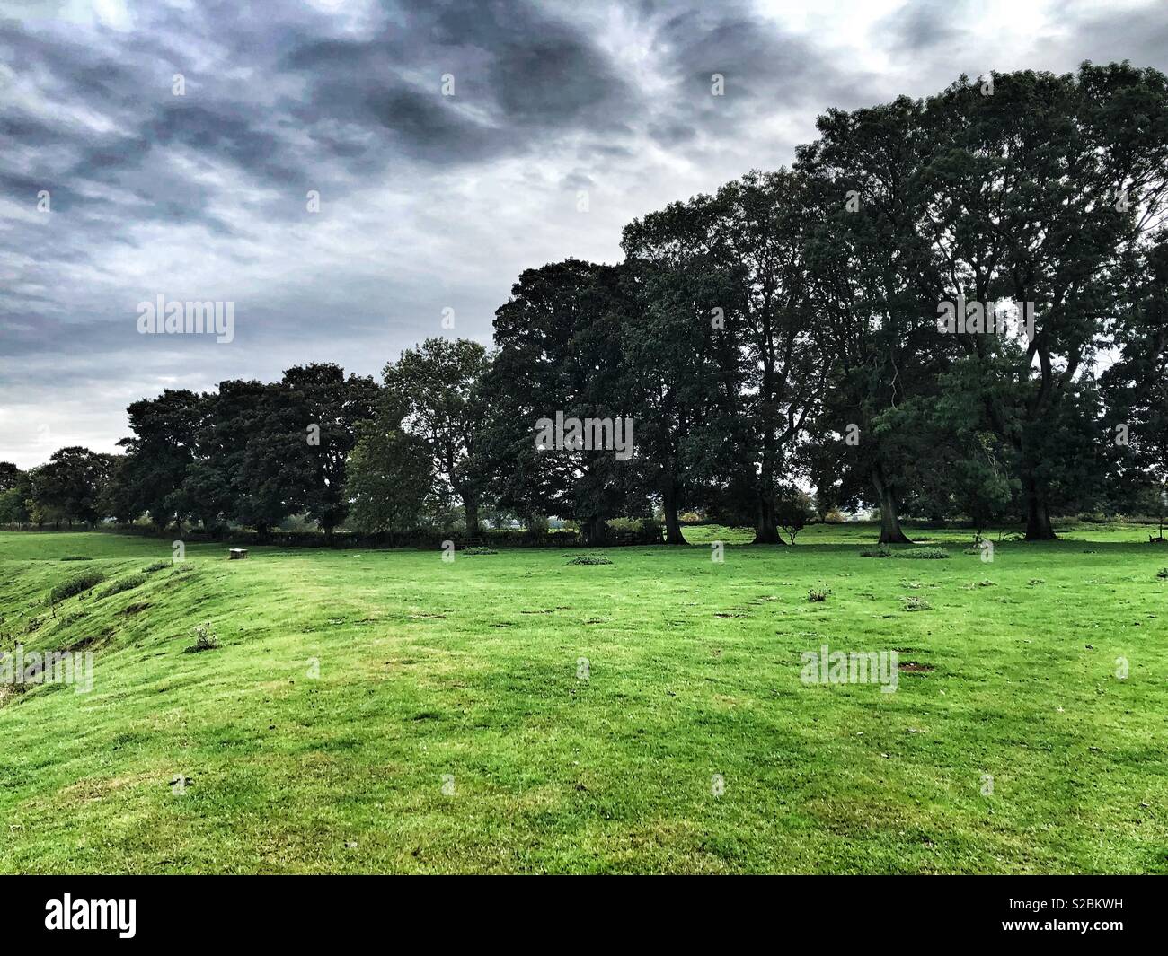Sloping tree line in the Cotswolds Stock Photo - Alamy