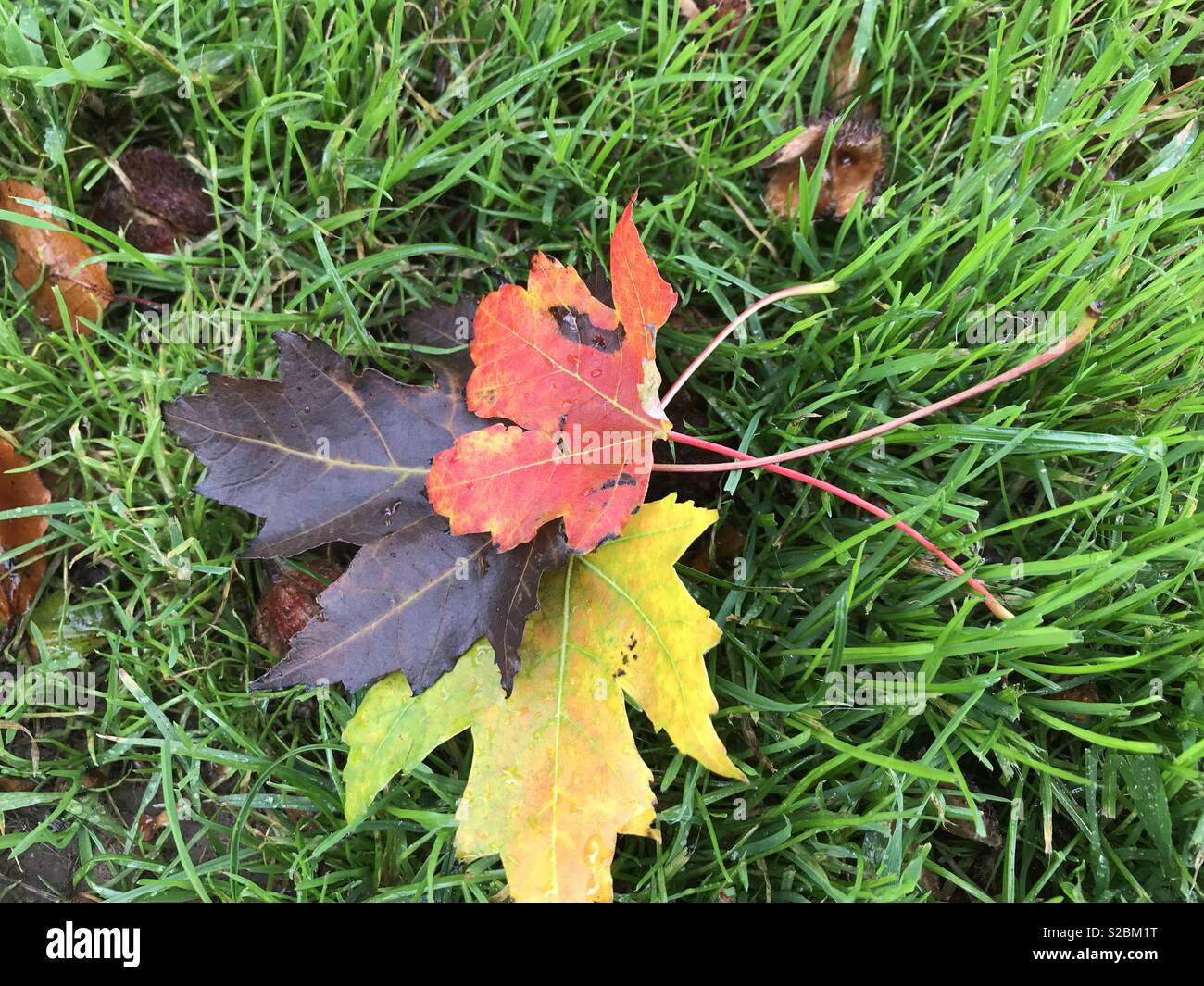 Approaching end hi-res stock photography and images - Alamy