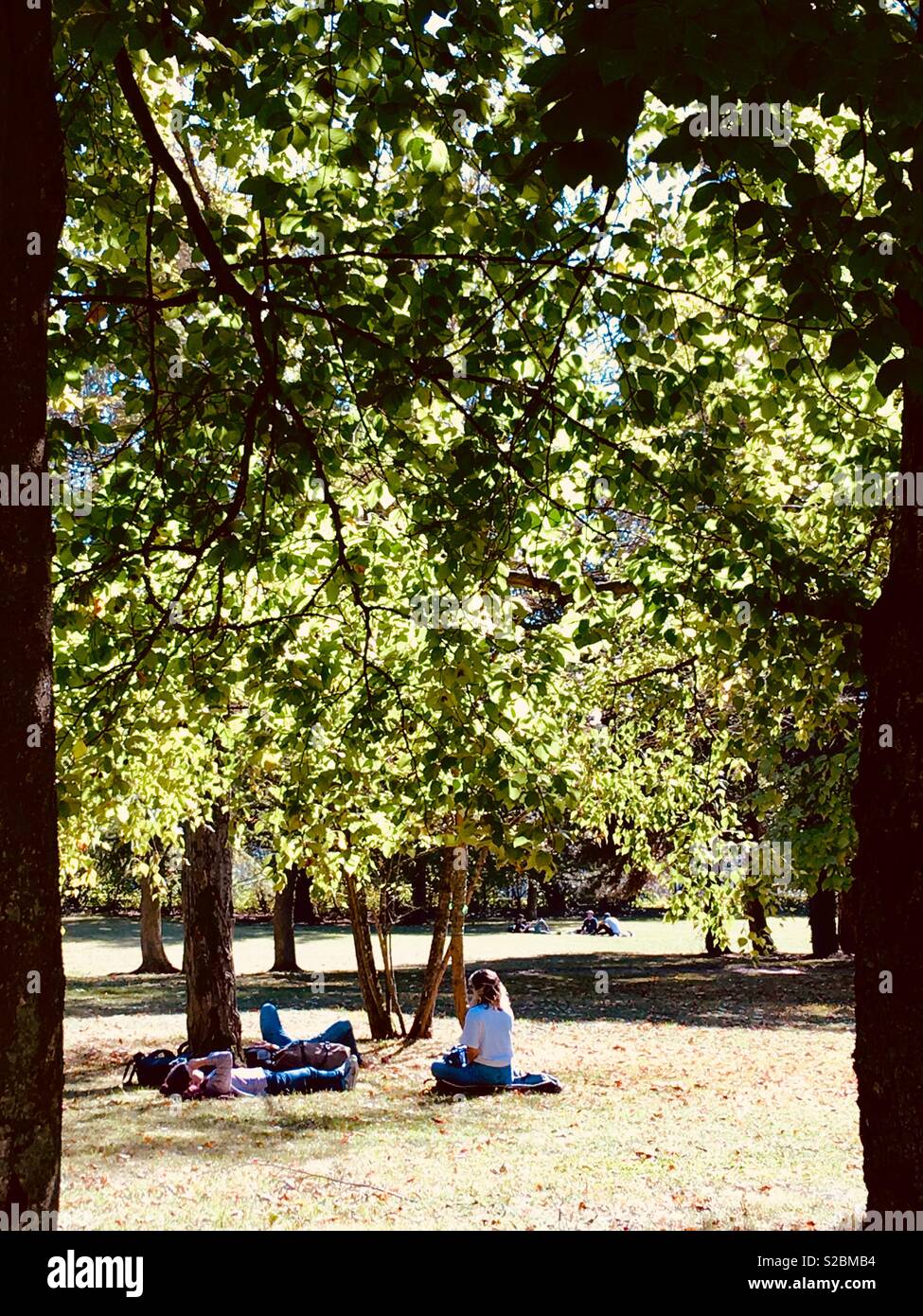 Luxembourg park hi-res stock photography and images - Alamy