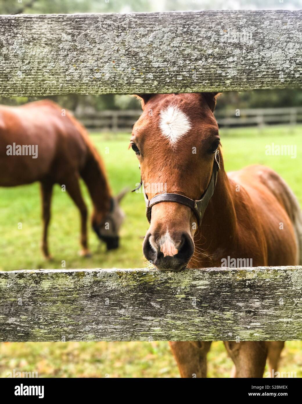 Family farm life hi-res stock photography and images - Alamy