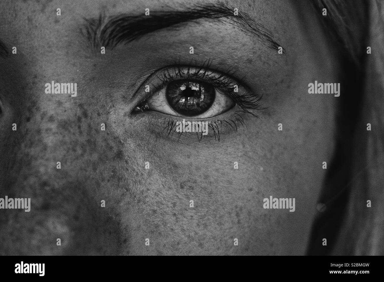 Face with freckles hi-res stock photography and images - Alamy