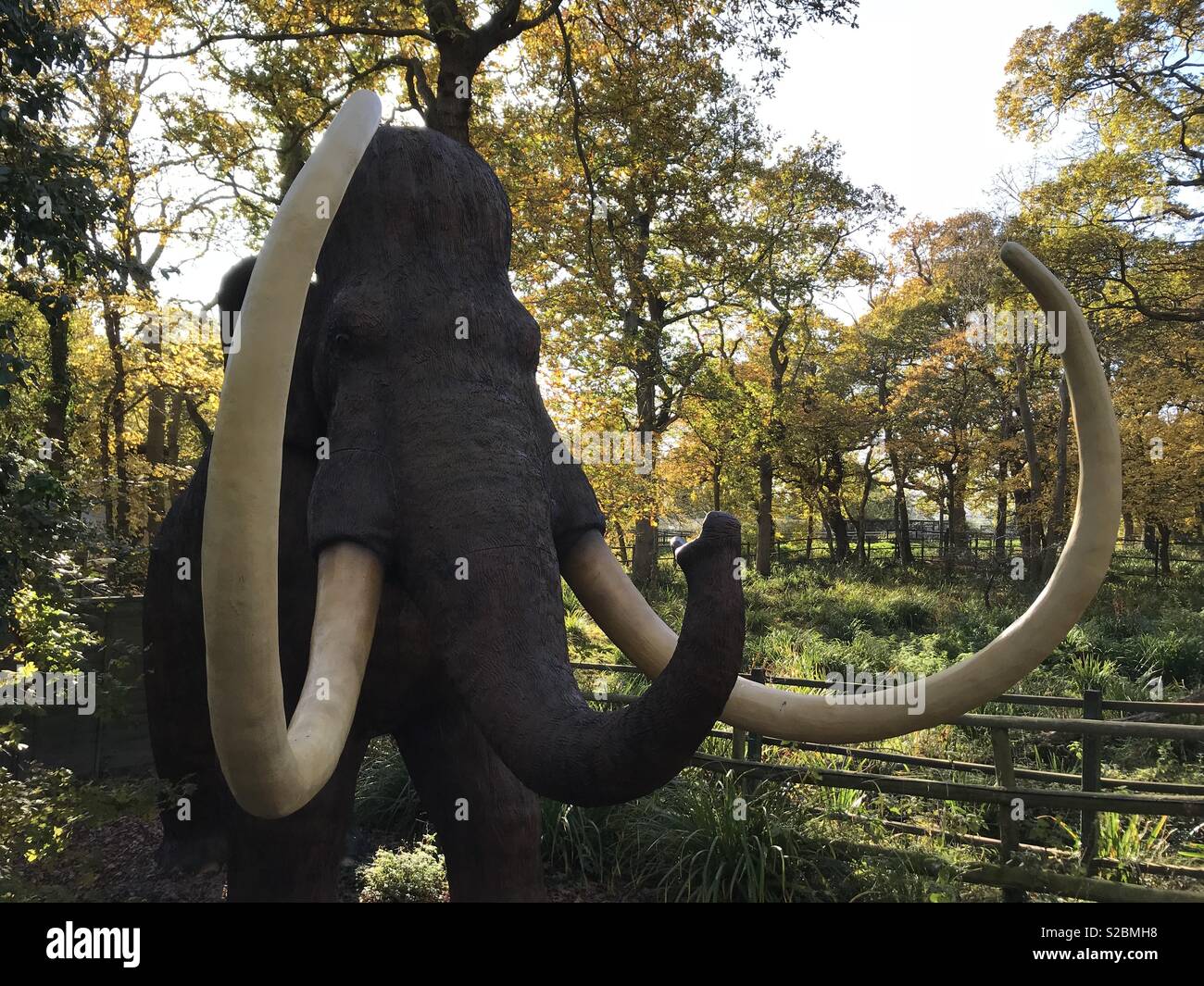 Mammoth in woods Stock Photo - Alamy