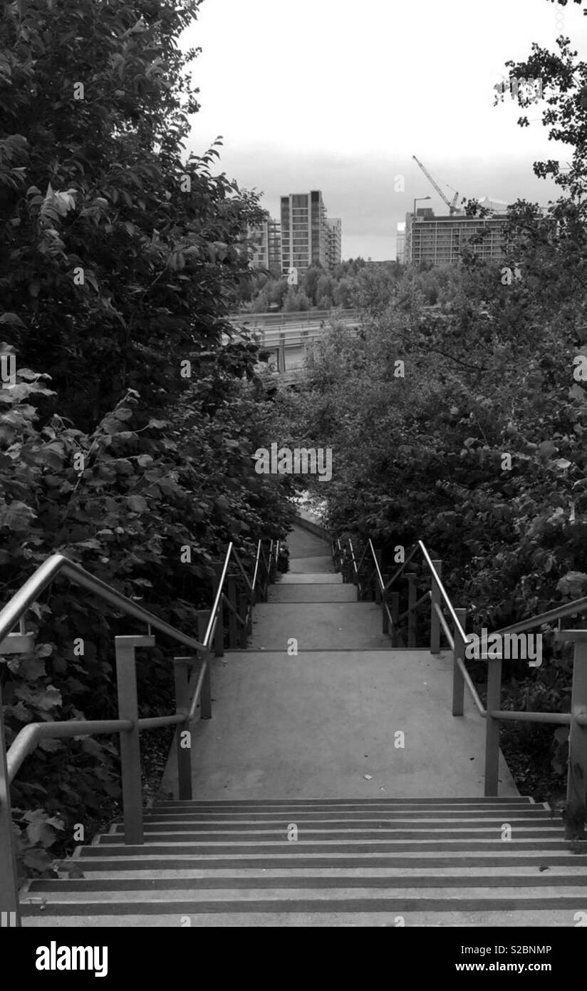 Lost path Black and White Stock Photos & Images - Alamy