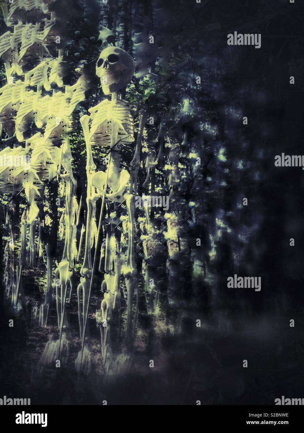 Special effects produce eerie photo of skeleton and skeleton fragments ...