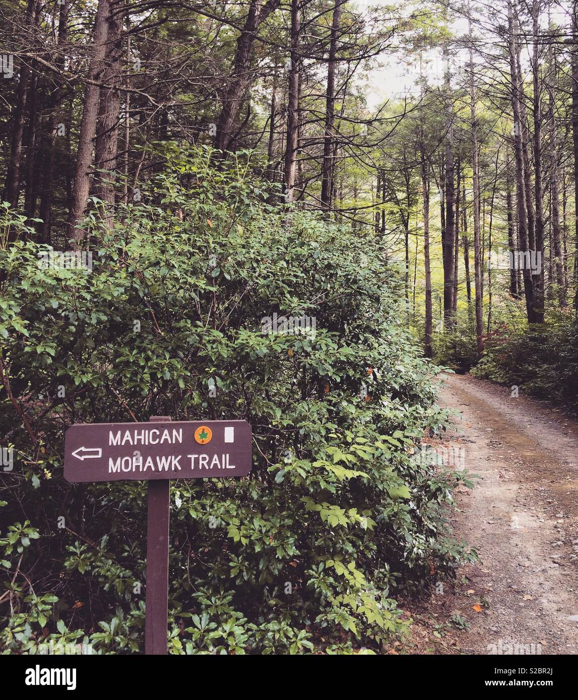 Mohawk Trail State Forest, Charlemont, Massachusetts, United States ...