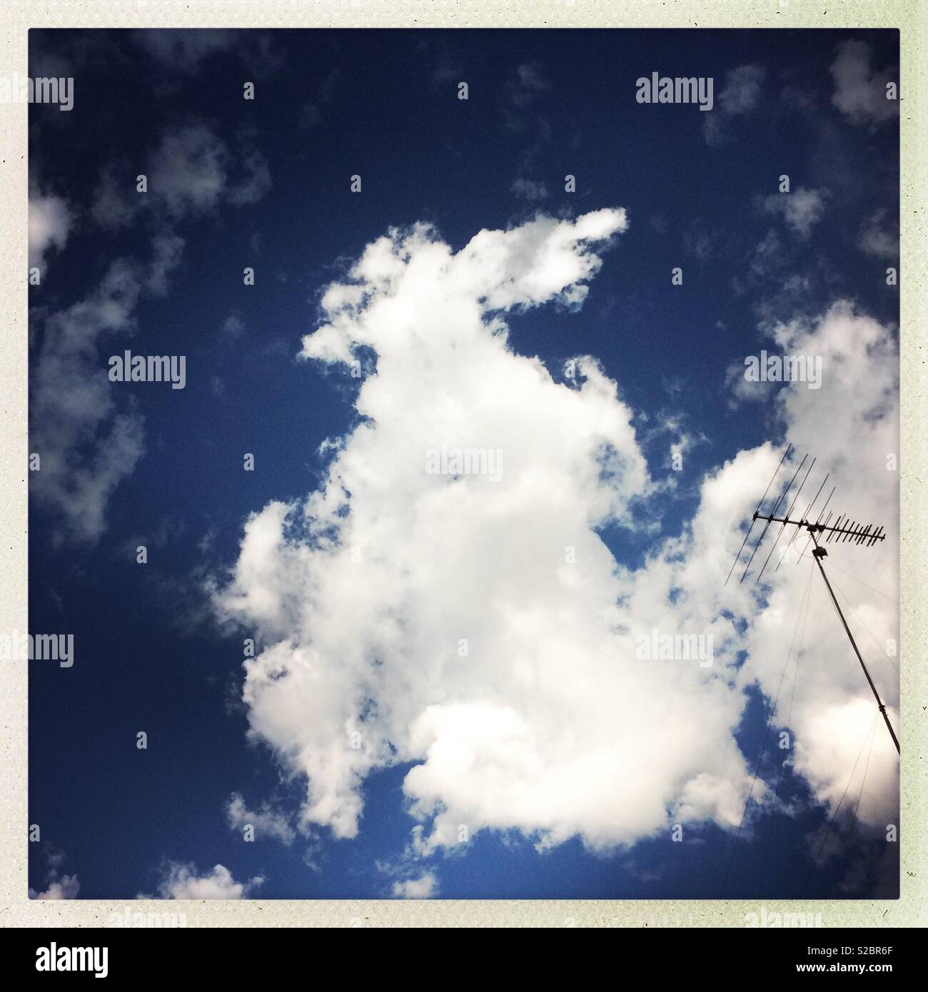 Cloud shapes animal hi-res stock photography and images - Alamy