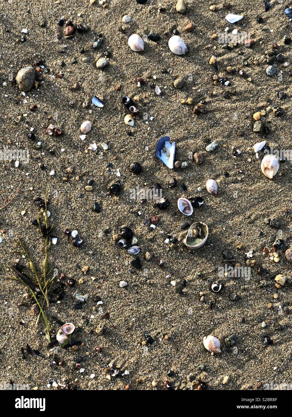 Treasure beach hi-res stock photography and images - Alamy